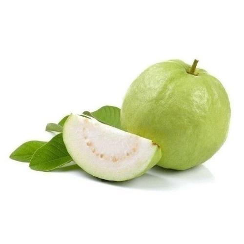 泰国番石榴 Per Kg_时令水果_果蔬肉禽_英游商城